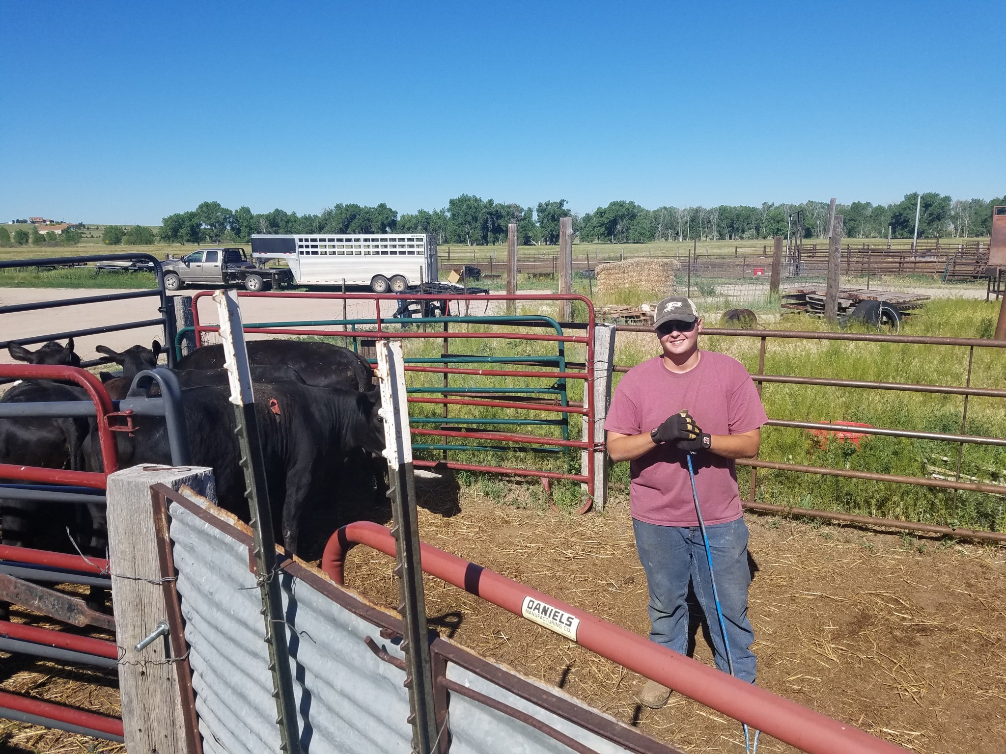 2026 Summer Working Cattle Ranch Internship | Solid Rock Red Angus