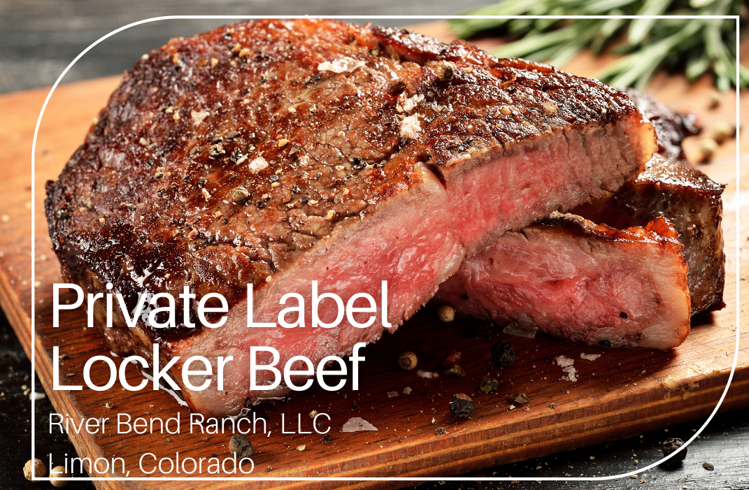 Beef For Sale | Solid Rock Red Angus